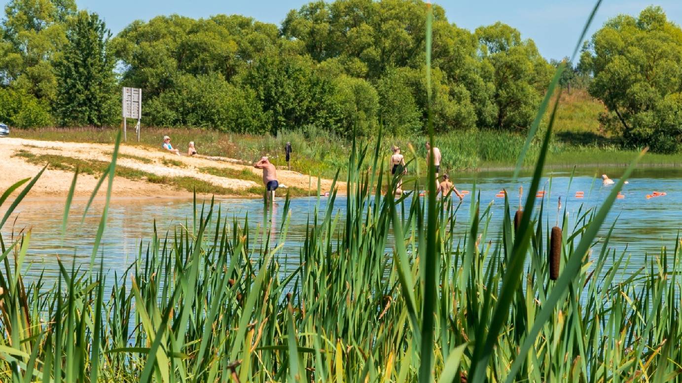 СЕРЕДИНА ЛЕТА... (Фото Юрия МОРОЗОВА (Рязань), музыка - Diana DOHERTY (Австралия))