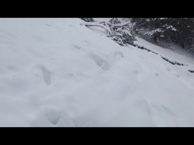 Обсерватория 2