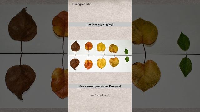 I`m_intrigued_Why_RU-EN