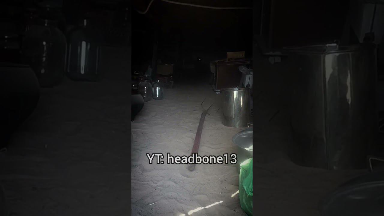 Какая милота)  #юмор  #memes