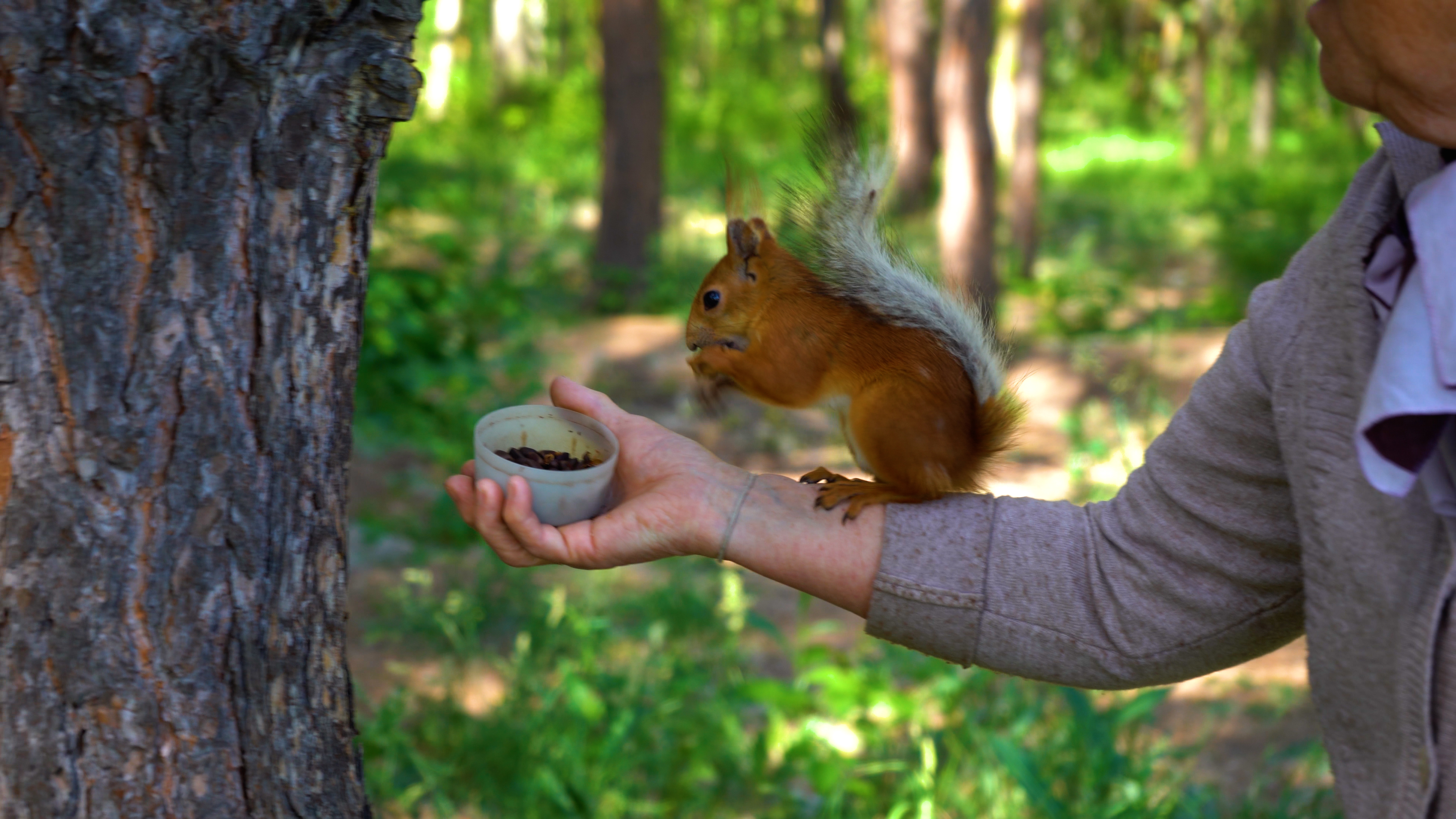 Спасибо Надежда!