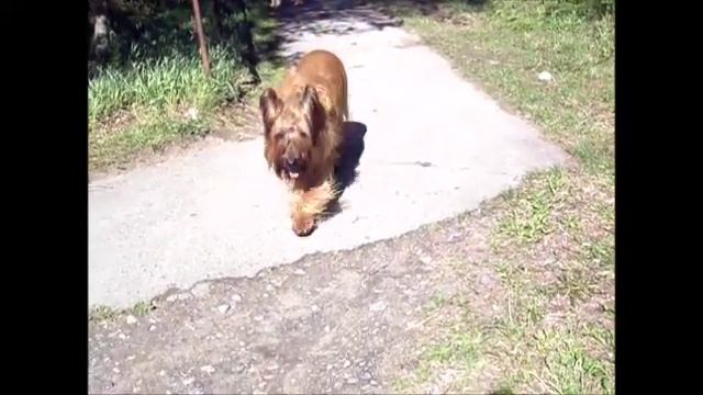 бриар Моника, 14 лет и 9 месяцев