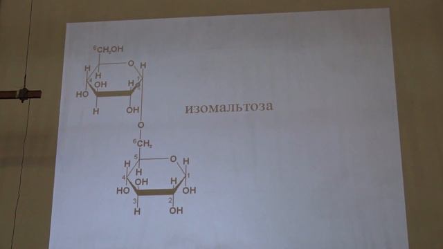 Асеев В. В. - Основы биохимии - Свойства углеводов
