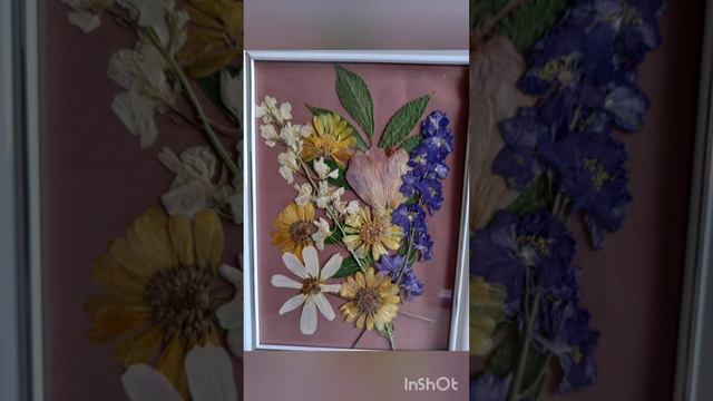 Картина из сухоцветов своими руками.
Подарок за полчаса.