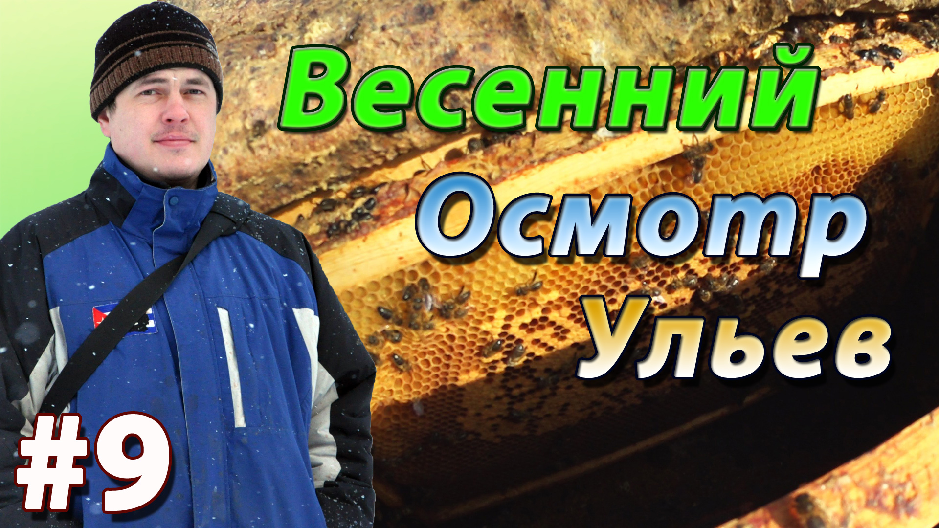 Весенние работы на пасеке. Осмотр улья после зимовки и очистка от подмора. 2017