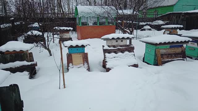 Состояние пасеки на 27.12.2023 года