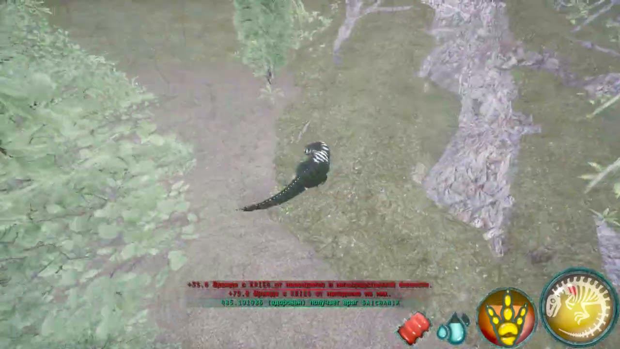 Сая в текстурах