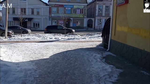 В поисках сахара,Ржев