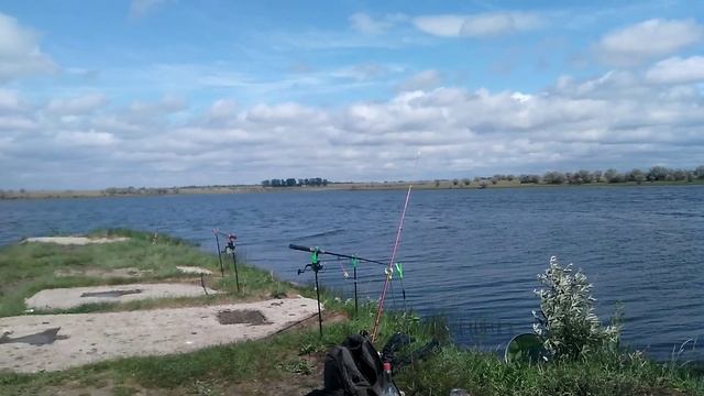 Ловись рыбка всякая и большая и маленькая #рыбалка