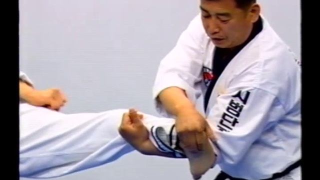 Базовая техника (Кибон) - Хапкидо Джин Джун Кван для 1 дана