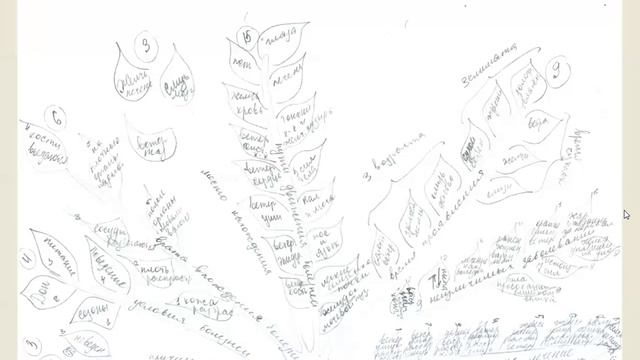 условия болезней, проявление дисбаланса, избыток, недостаток, возбуждение