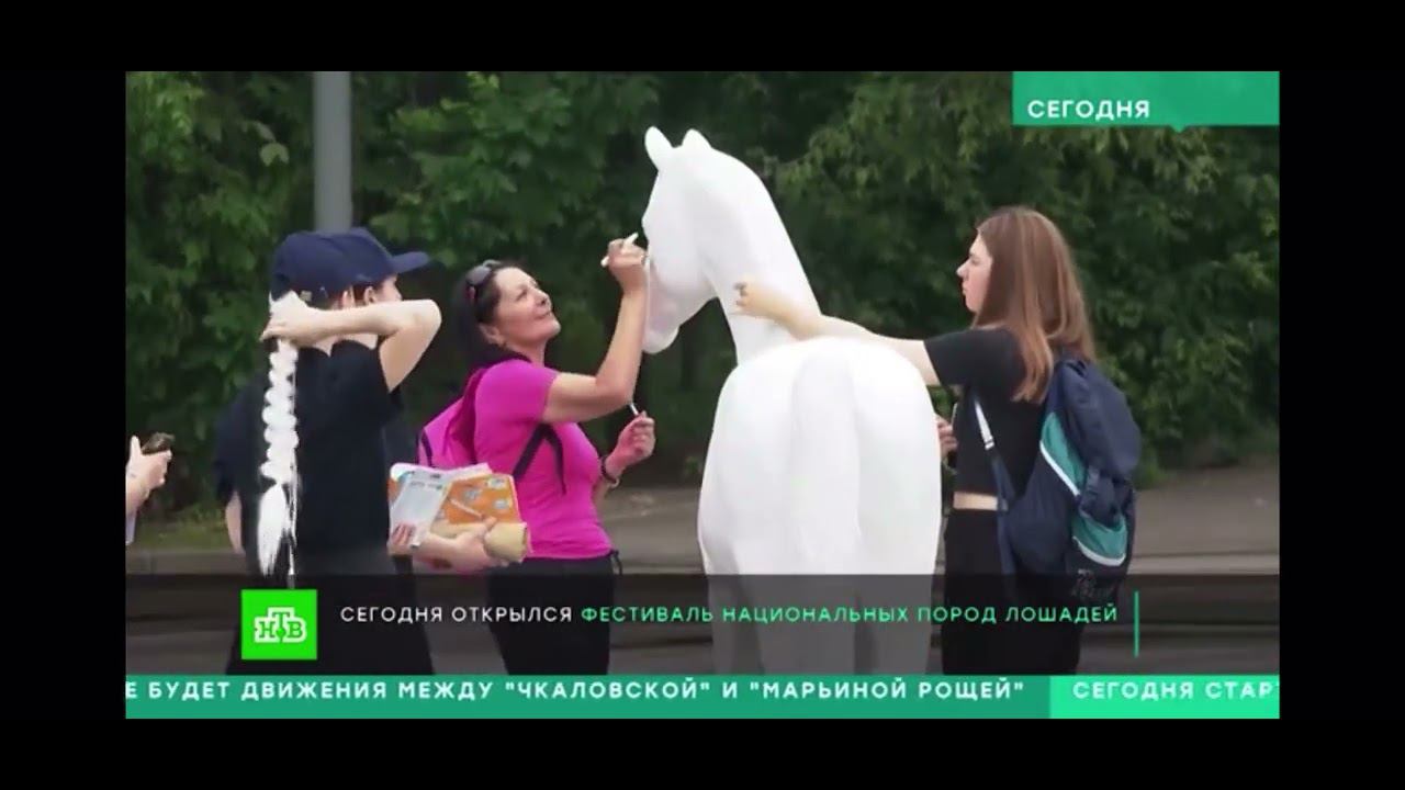 Фестиваль национальных пород лошадей ( Москва, ЦНКТ, КШВЕ ). Жеребец Благовест ( телеканал НТВ)