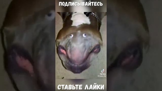 эх места моло 😢😂👍