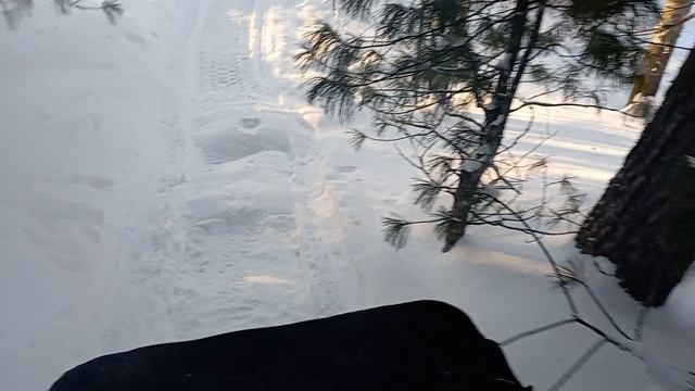 Стелс Викинг Просто мощь?