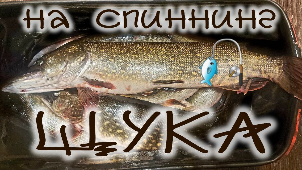 РЫБАЛКА НА ОКУНЯ И ЩУКУ, СПИННИНГ, ВОБЛЕР,FISHING FOR PERCH AND PIKE, SPINNING, WOBLER