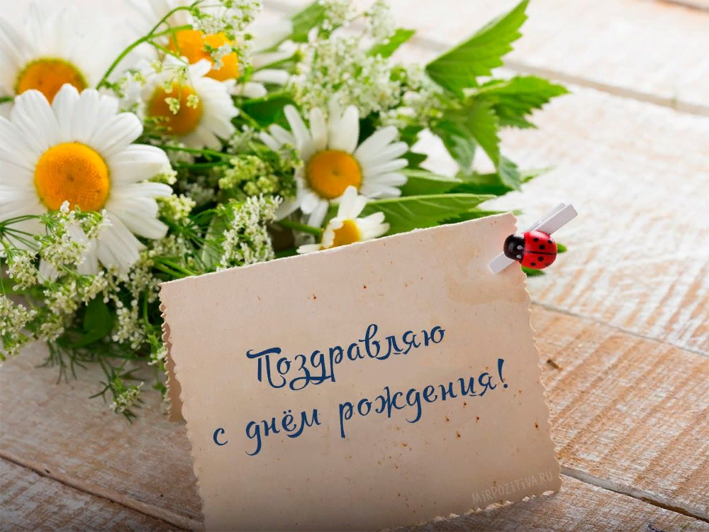 С Днем рождения Женщине! Очень красивая музыкальная Видео открытка Поздравление с Днем Рождения
