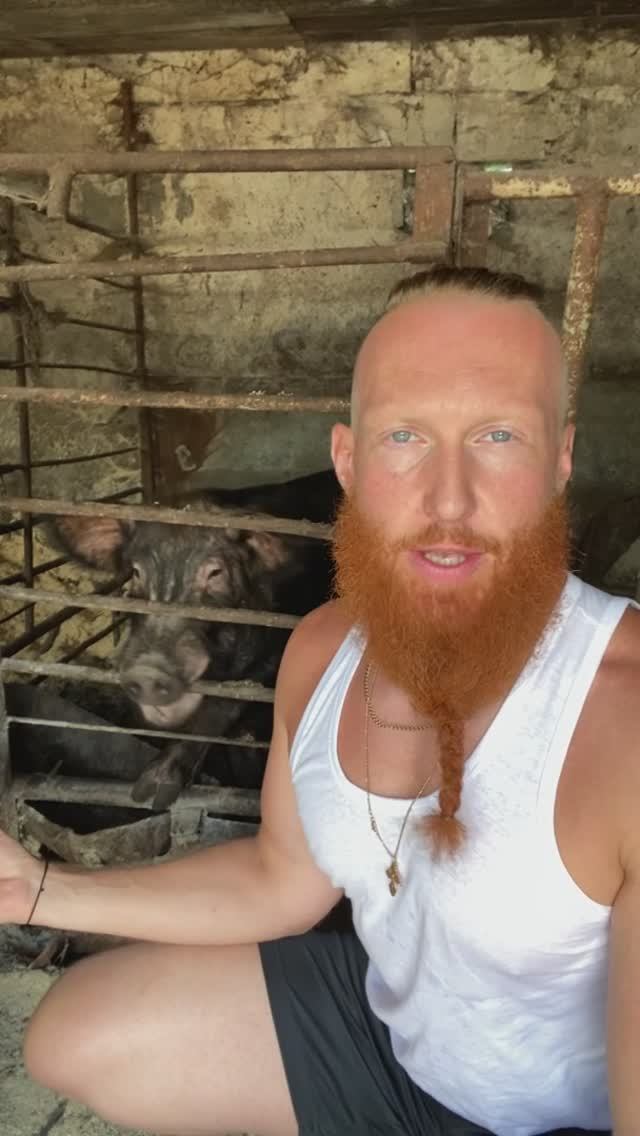 Лучший подарок на 8 марта