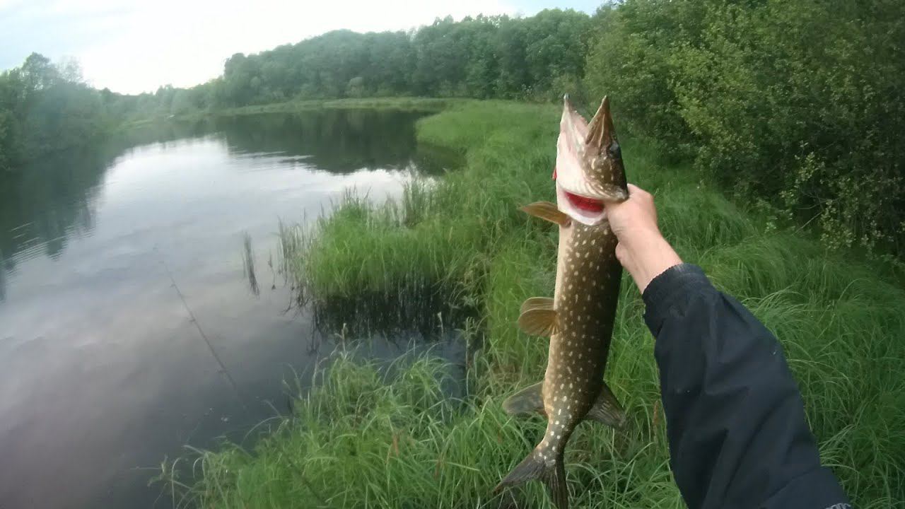 Весенняя щука 2015 на вертушку PONTOON 21 SYNCHRONY №3