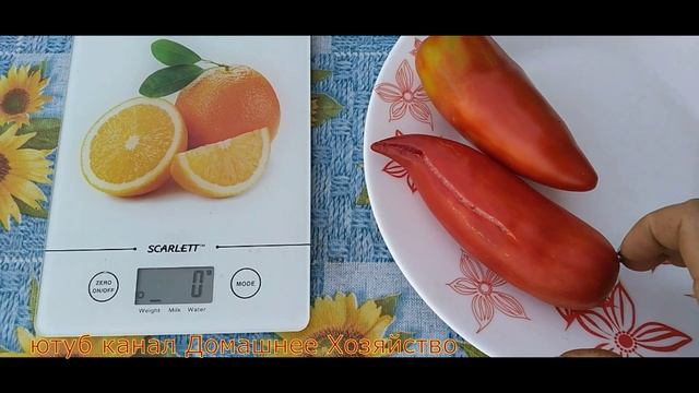 Обзор томата Перцевидный гигант