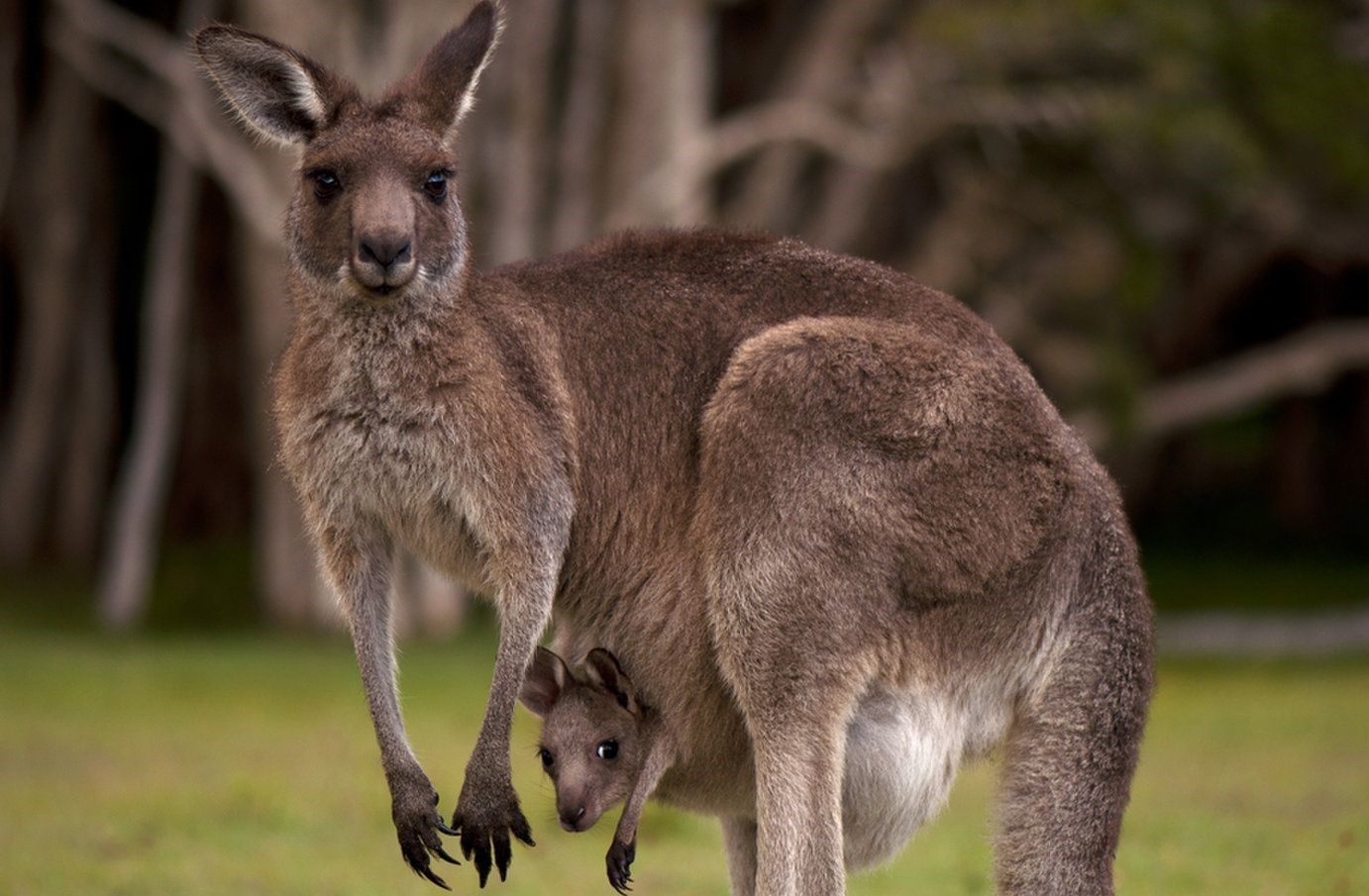 Чему учить детей