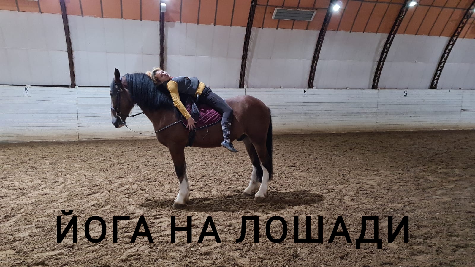 Откуда пошла йога  на лошади, и как она выглядит ))