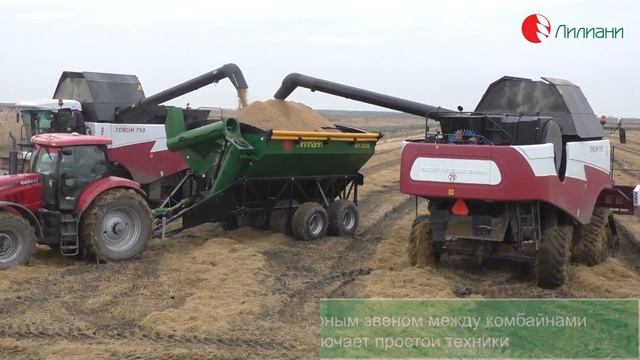 Безостановочная уборка риса в ГК АФГ НАЦИОНАЛЬ. Краснодарский край