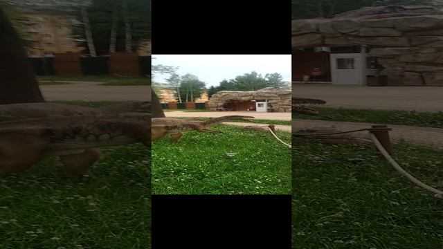 Великие Луки. Динопарк. 2021 год