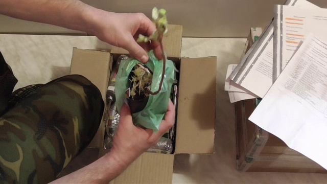 Отзыв №1 об интернет магазине ncsemena ru (Русский огород от ООО СПК Агропромышленный дом)