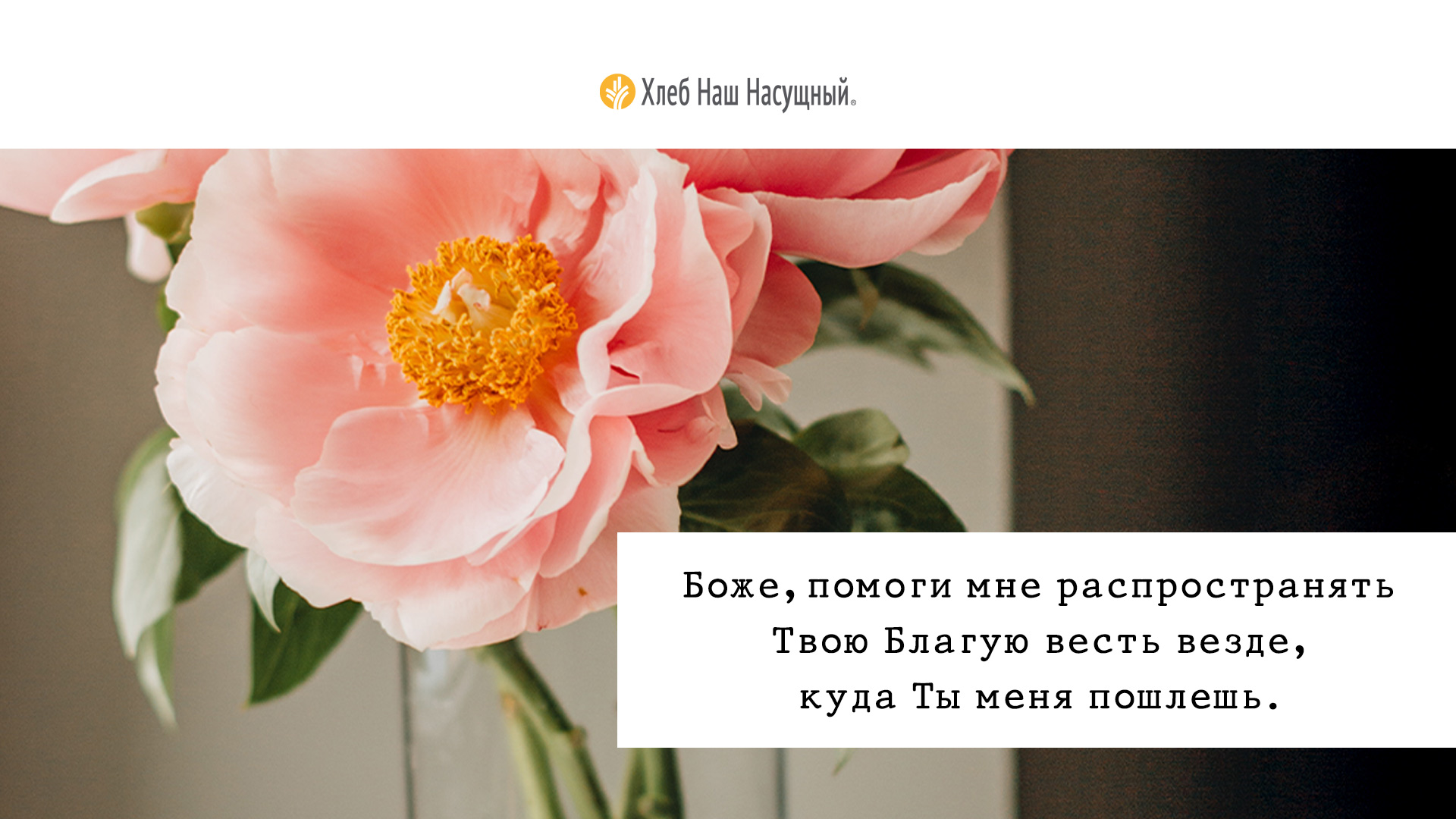 Стоит рассказывать	| Ежедневное христианское чтение |	11	 мая 2022