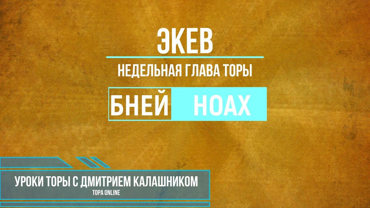Недельная глава ТОРЫ "ЭКЕВ", книга "ДВАРИМ" (Второзаконие) 5780