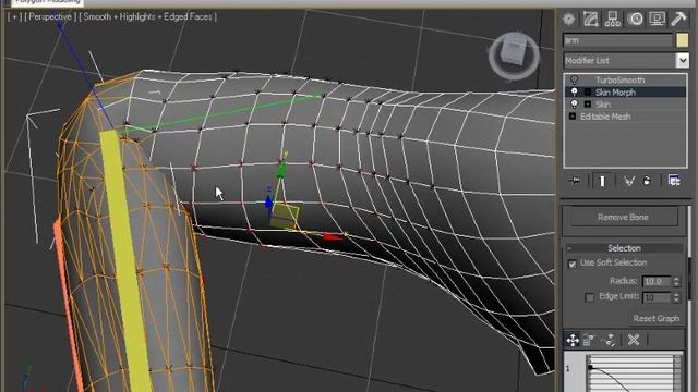 2. Automating Squash, Stretch for muscle bulges