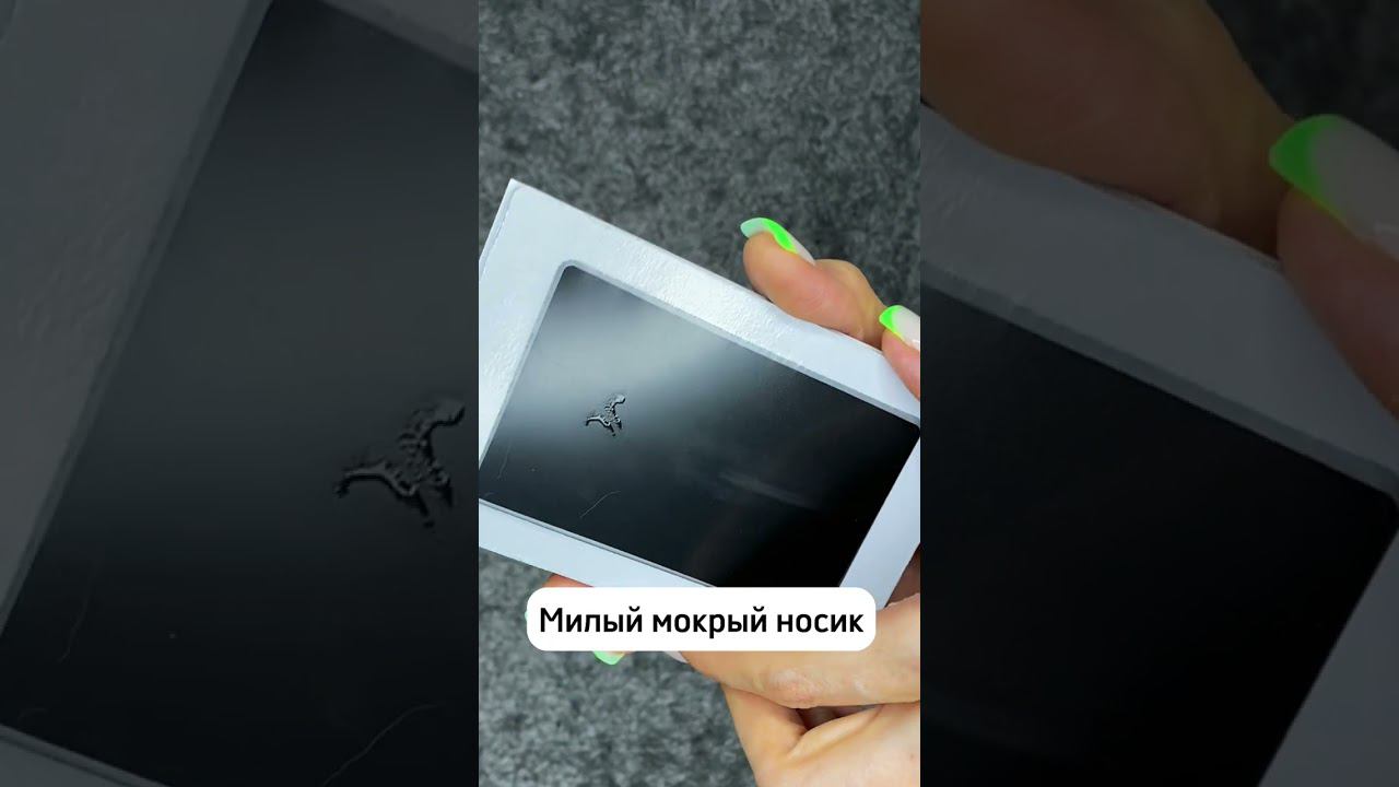 Топ приемов декора с отпечатками питомца #probalanceкорм #котики #diy #шортс #идеидекора