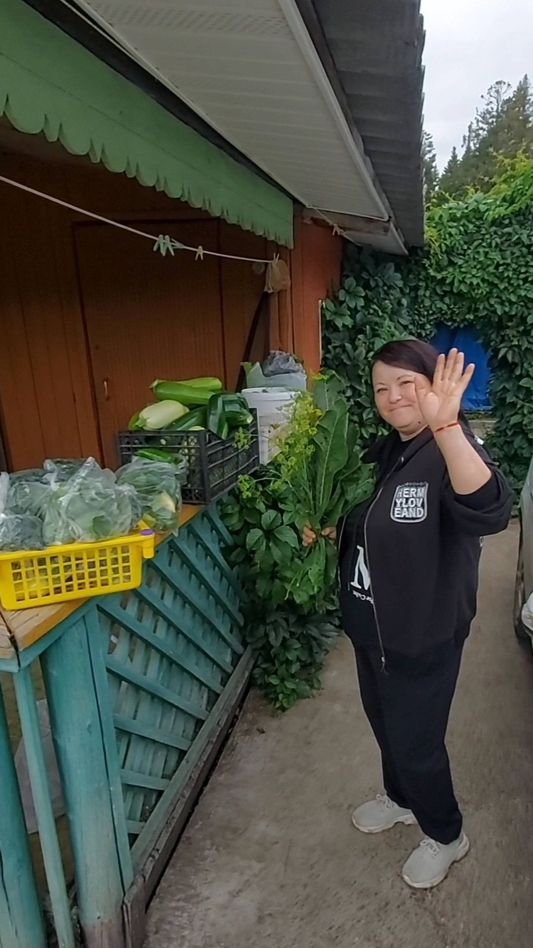 Наш урожай! 😀/Собрали ведро огурцов/Набрали полный ящик кабачков и помидор🍅/Собрали перцы и зелень