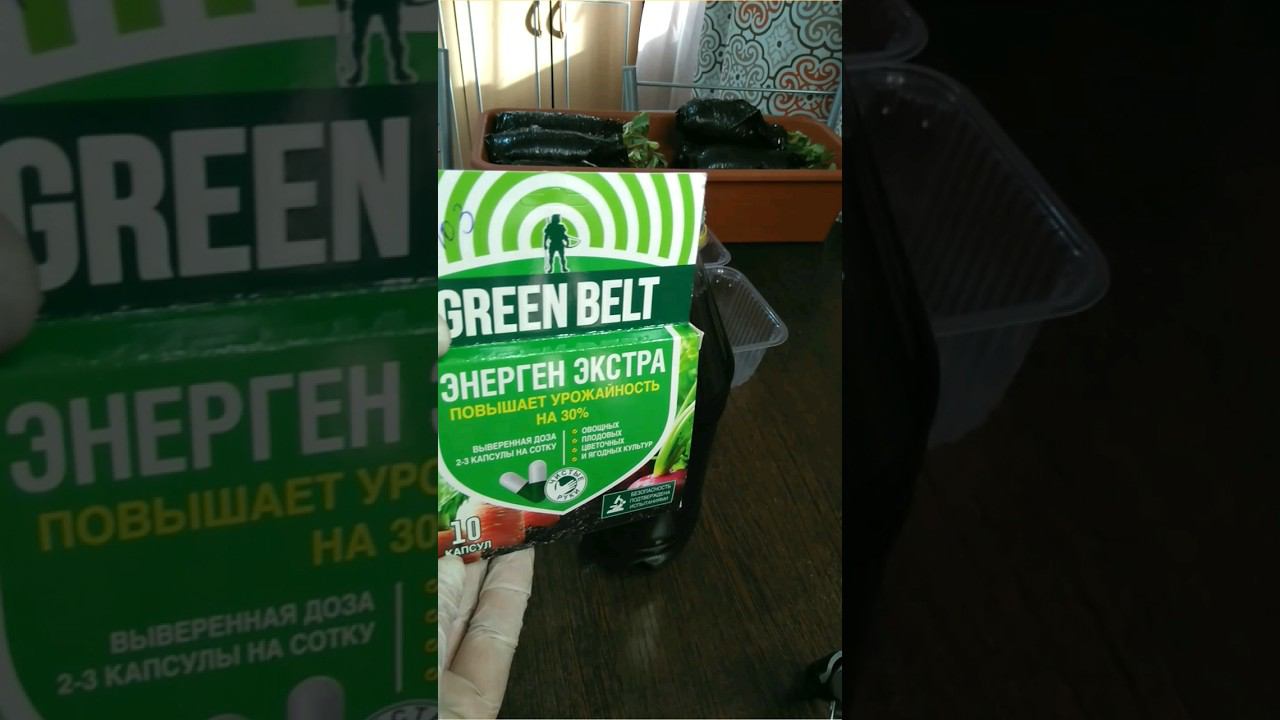 Урок 35/3. Зачем нужен стимулятор роста при замачивании рассады фриго?