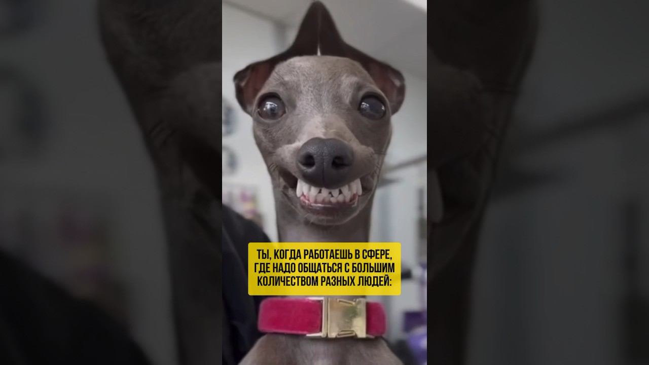 Ты, когда работаешь с людьми