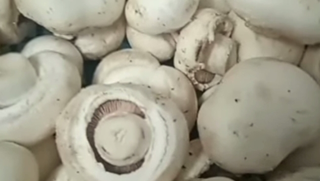 ШАМПИНЬОНЫ С ЛУКОМ