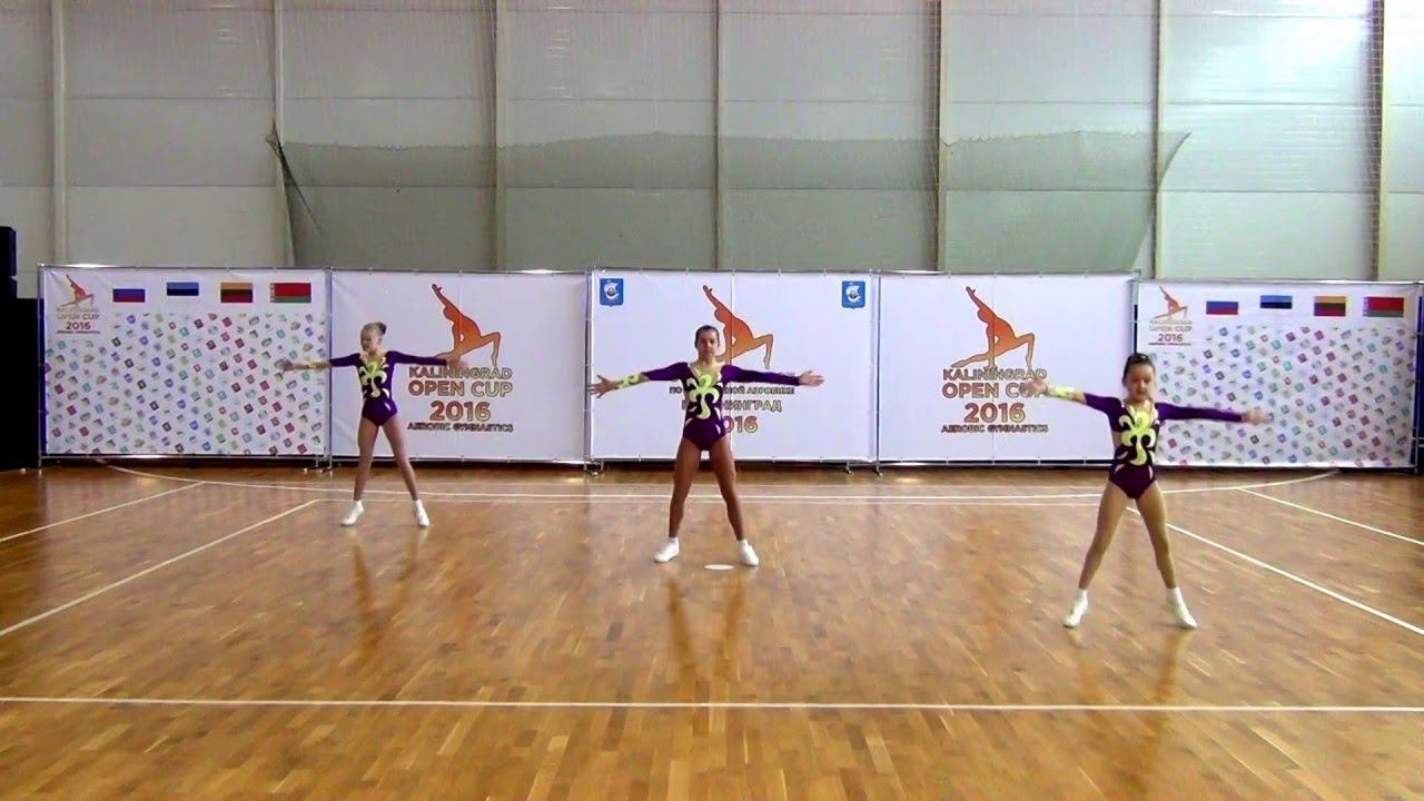AEROBIC GYMNASTICS  ND2 TR  Солнечногорск Трио