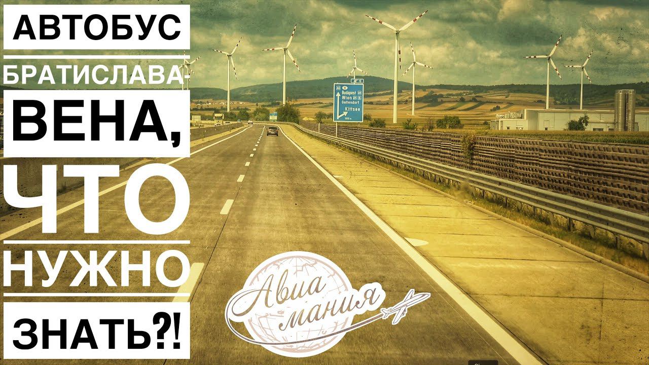 Как добраться из Братиславы в Вену на автобусе | #Авиамания