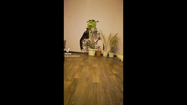 Новый проект4.mp4