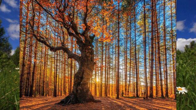 Ольга Небыкова  Я сегодня поведую дочке