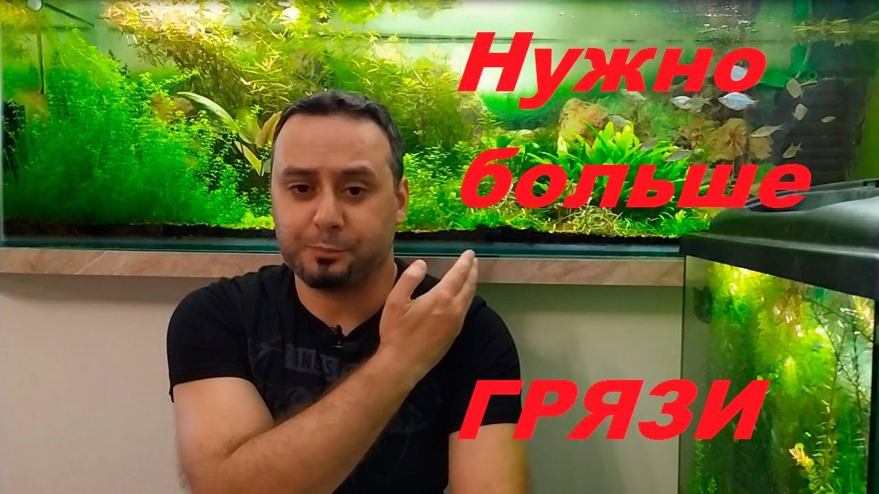 Растения из меристемы.  Группа 6 - Аквариумные грязнули. (Архив от 30.07.2022)