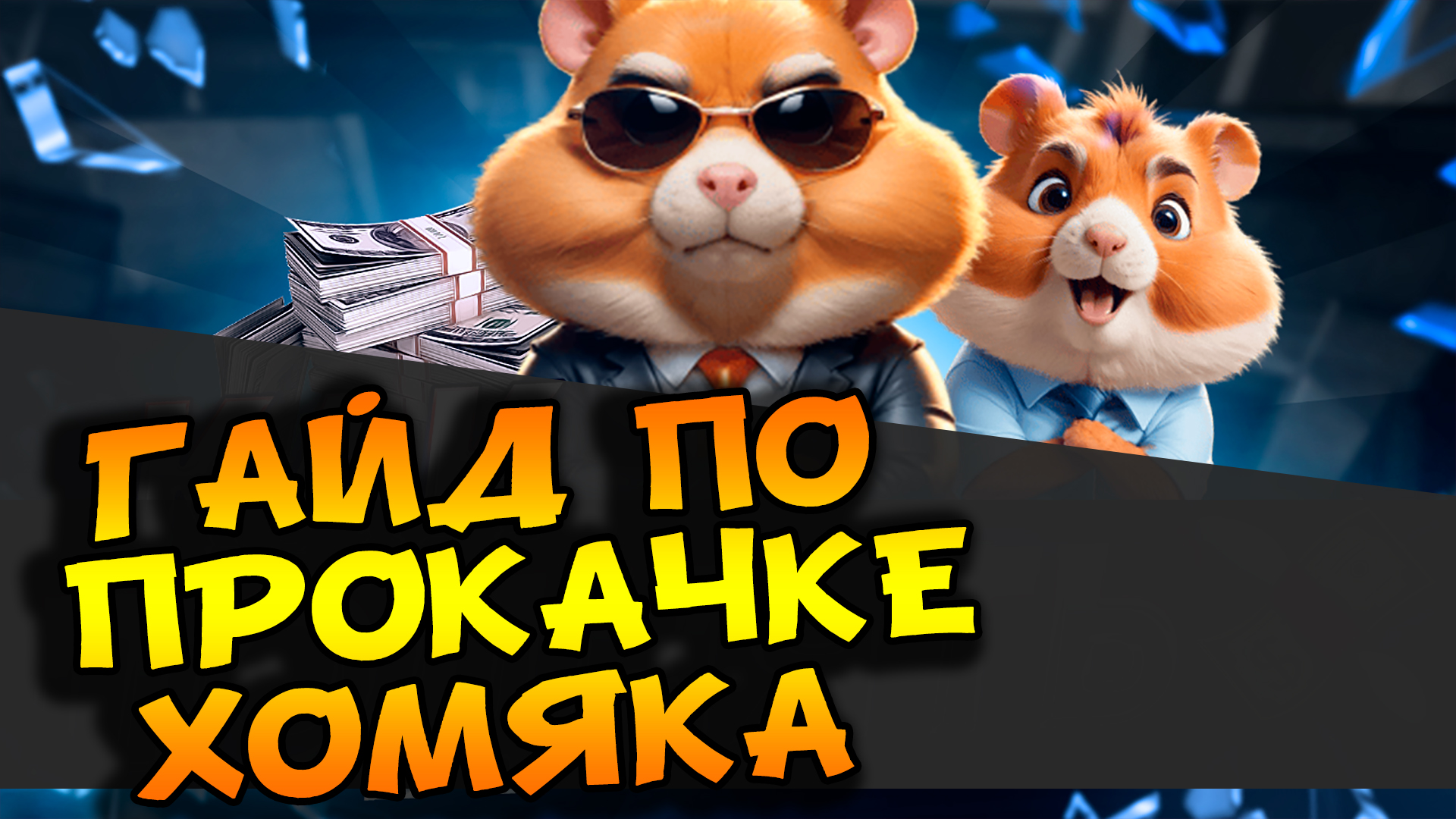 Гайд по прокачке хомяка Hamster Kombat