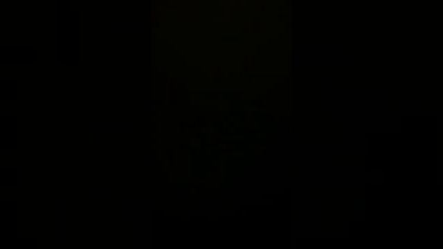 СОБАКЕ ПОМОГЛИ….