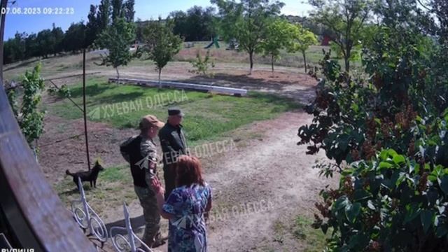 ?Под Одессой пчёлы отбили хозяина от военкома ВСУ.