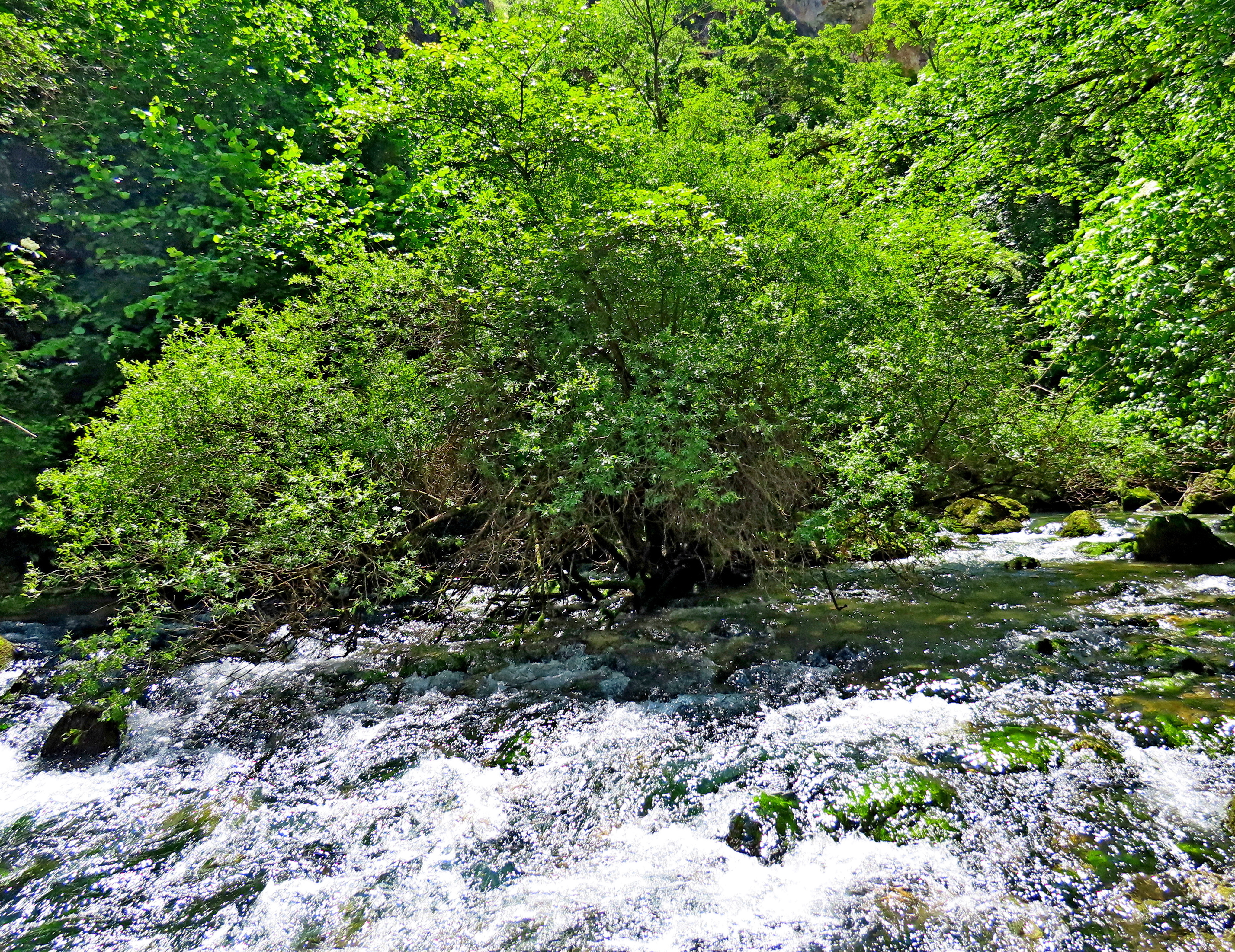 Бушующие воды реки Биюк-Карасу.
