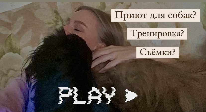 Собаки.Тренировка.Съёмки