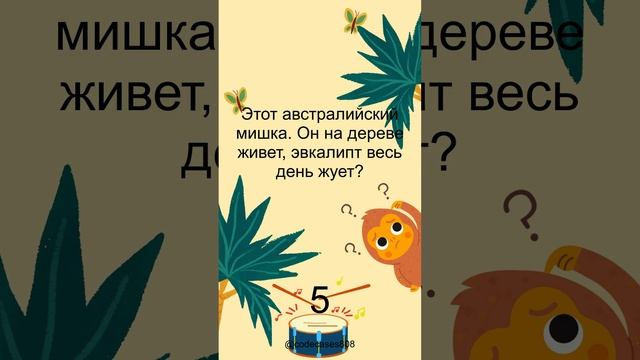 Этот австралийский мишка. Он на дереве живет, эвкалипт весь день жует?