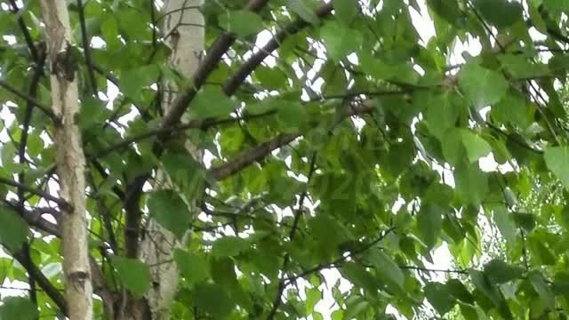 Страницы 2020 05 4. Серия 14-я.