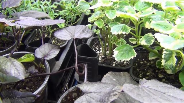 Все видео_Начинаем СЕЗОН 2022 .mp4