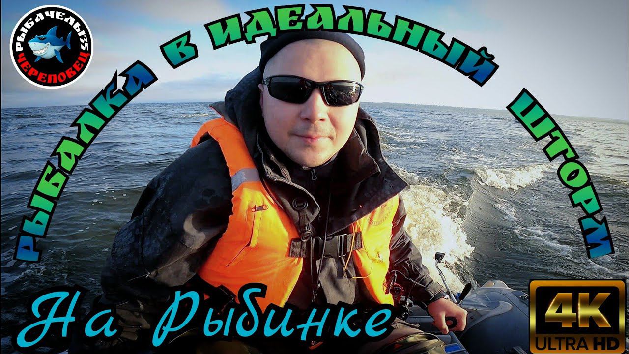 Рыбалка на троллинг в 4к на Рыбинском Водохранилище!Ловля Щуки и Судака в Сентябре2021!!!